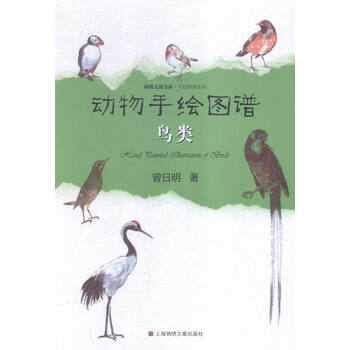 鸟类-动物手绘图谱 科普读物 书籍