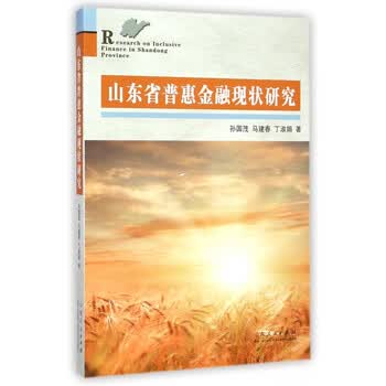山东省普惠金融现状研究