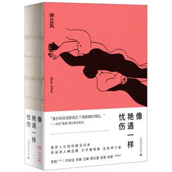 新民说·像艳遇一样忧伤（修订版）
