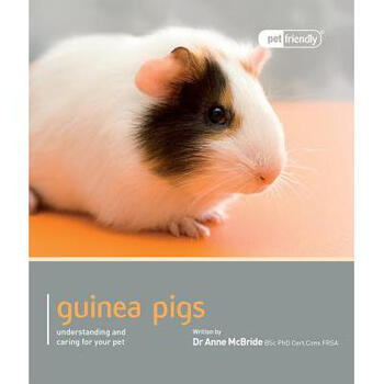 Guinea Pig - Pet Friendly: Understanding and...