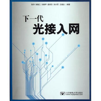 下一代光接入网