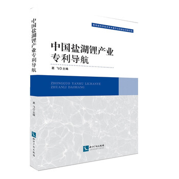 中国盐湖锂产业专利导航