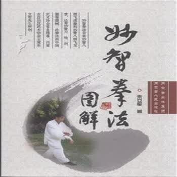 妙智拳法图解