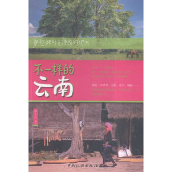 不一样的云南 旅游/地图 书籍