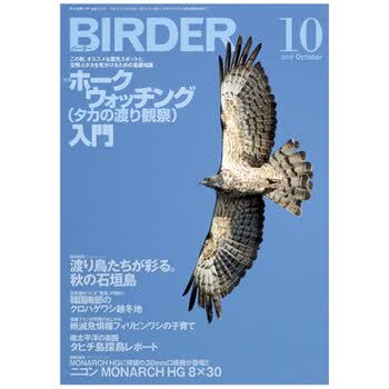 【包邮】【订阅】BIRDER 鸟类飞禽杂志 日本日文 年订12期F085