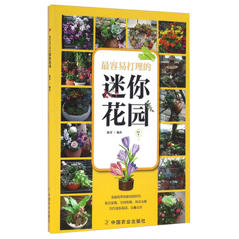 最容易打理的迷你花园