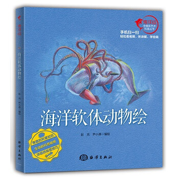 海洋软体动物绘