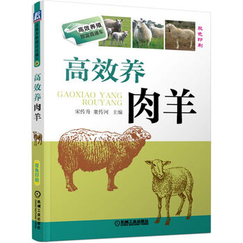 高效养肉羊(双色印刷)/高效养殖致富直通车