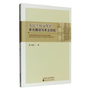 农民工权益保护：多元路径与本土经验
