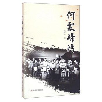 何处归鸿