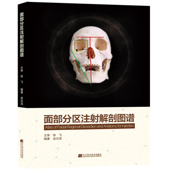 面部分区注射解剖图谱