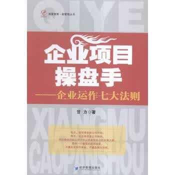 企业项目盘手:企业运作七大法则 管理 书籍