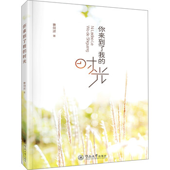 你来到了我的时光