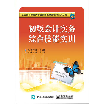 初级会计实务综合技能实训