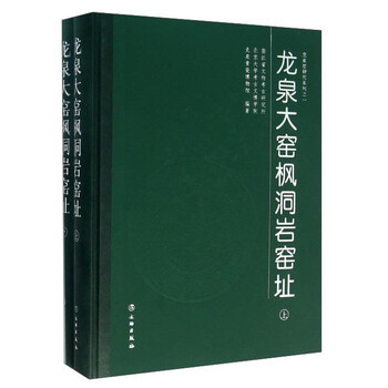 龙泉大窑枫洞岩窑址（套装上下册）