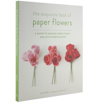 The Exquisite Book of Paper Flowers 手工制作纸花