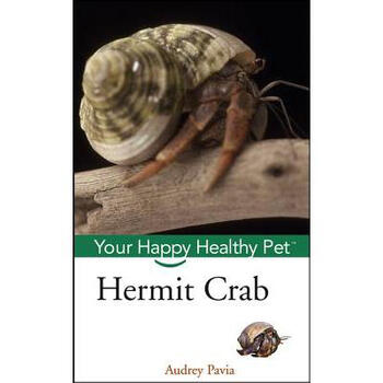 Hermit Crab: Your Happy Healthy Pet