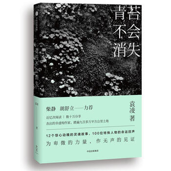 】青苔不会消失 