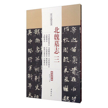历代名家碑帖经典：北魏墓志三 司马显姿墓志元灵曜墓志元崇业墓志元纂墓志于仙姬墓志杨乾墓志元昉墓志等