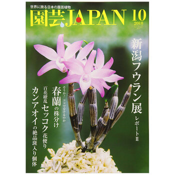 【包邮】【订阅】園芸JAPAN 园艺花艺杂志 日本日文 年订12期E376原版