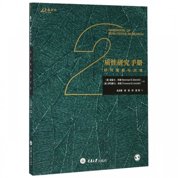 质性研究手册(研究策略与艺术)