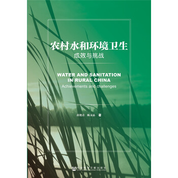 农村水和环境卫生：成效与挑战