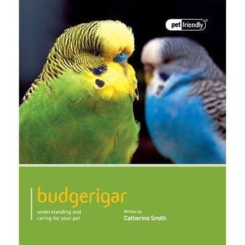 Budgeriegars - Pet Friendly: Pet Friendly - ...
