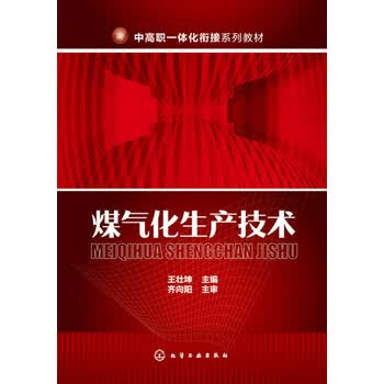 煤气化生产技术(王壮坤)