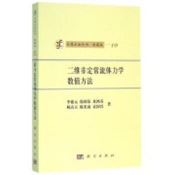 二维非定常流体力学数值方法