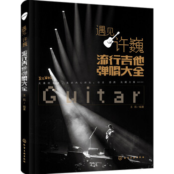 遇见许巍：流行吉他弹唱大全 书籍 音乐 音乐赏析