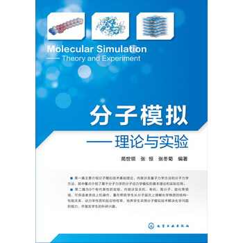 分子模拟——理论与实验 