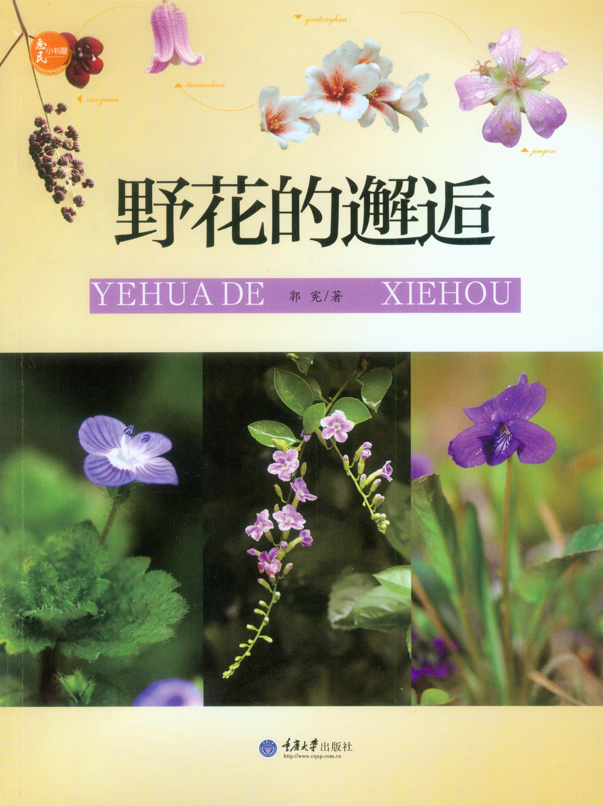 野花的邂逅