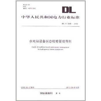 水电站设备状态检修管理导则DL/T1246-2013