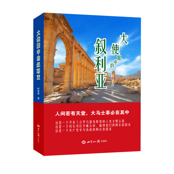 大使眼中的叙利亚