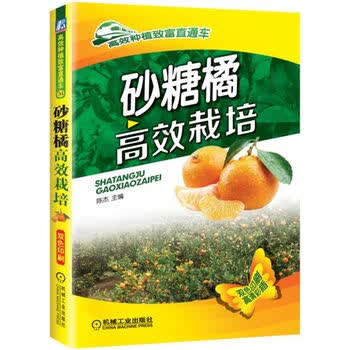 砂糖橘高效栽培