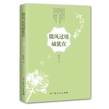 微风过境城犹在 小说 书籍