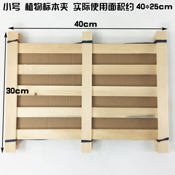 木制植物标本夹 木质标本制作材料 生物教学仪器 科学实验器材 小号 40*30cm（可用面积40*25cm）