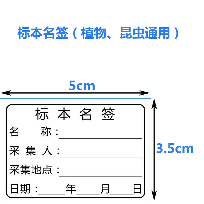 不干胶标签纸 学校实验室图书馆橱柜展览用标签 粘性好 100片 标本采集标签 植物昆虫通用