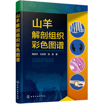 山羊解剖组织彩色图谱（全彩图解）
