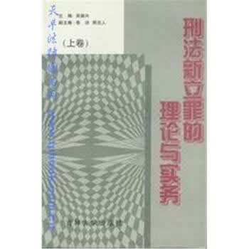 刑法新立罪的理论与实务(上下卷)