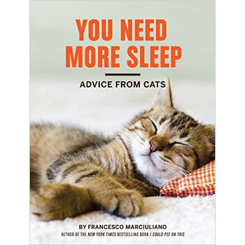 You Need More Sleep  Advice from Cats