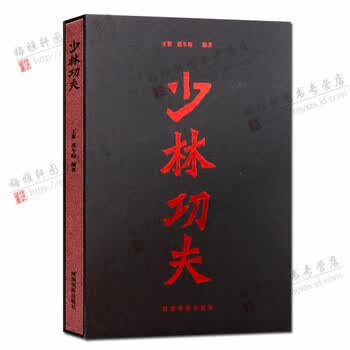 少林功夫 中国太极武术书籍 中老年健身体操有氧运动图书 河南美术出版社 正版图书