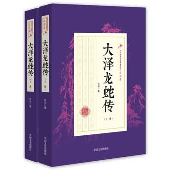 大泽龙蛇传(上下)/民国武侠小说典藏文库