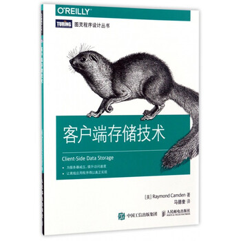 客户端存储技术/图灵程序设计丛书