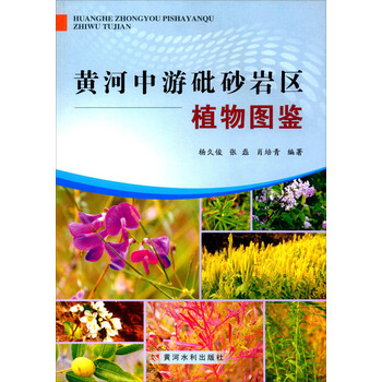 黄河中游砒砂岩区植物图鉴