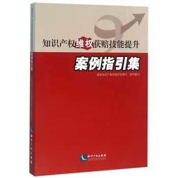 知识产权维权获赔技能提升案例指引集