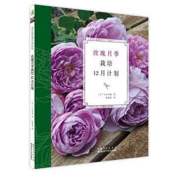 玫瑰月季栽培12月计划