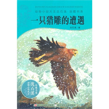 动物小说大王沈石溪 品藏书系：一只猎雕的遭遇