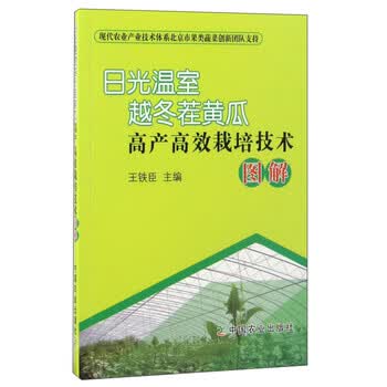 日光温室越冬茬黄瓜高产高效栽培技术图解