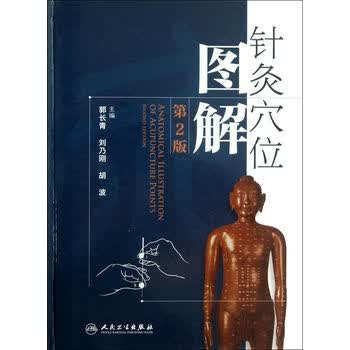 针灸穴位图解(第2版)(精)